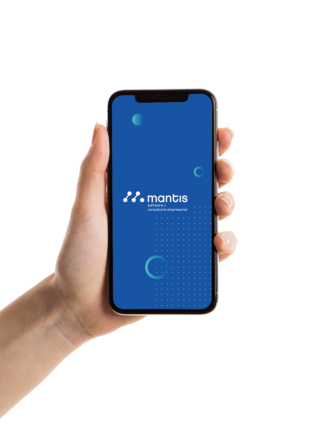 Plataforma - Mantis Software Integral